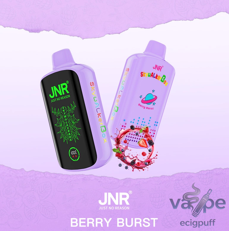 JNR Sky Walker Box 21000 Disposable Vape: 21K Puffs & Rechargeable ...